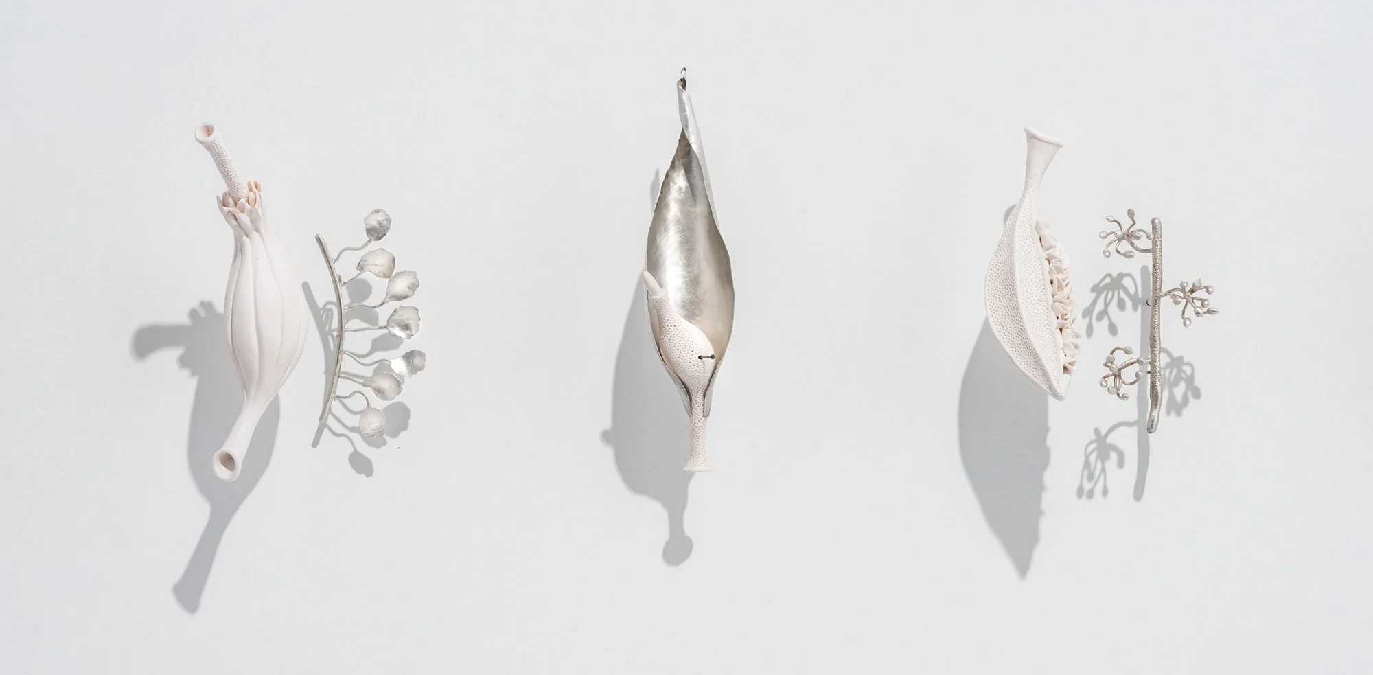 Exhibitions — Sarah Rayner