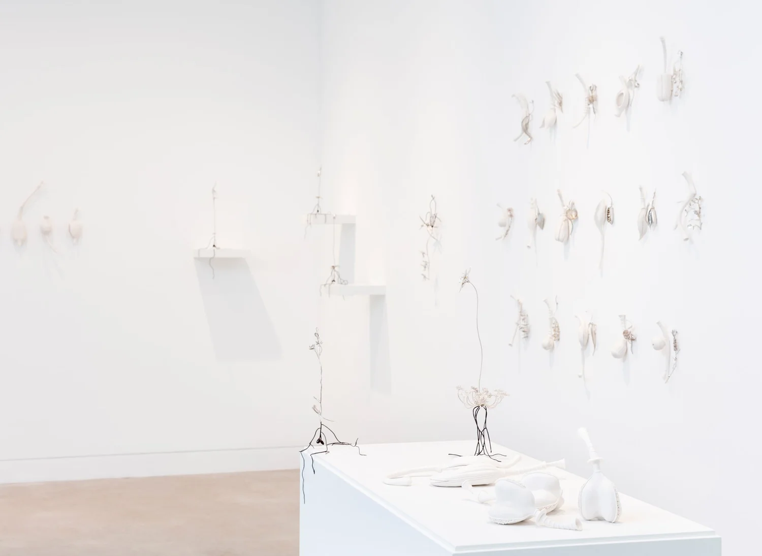 Exhibitions — Sarah Rayner