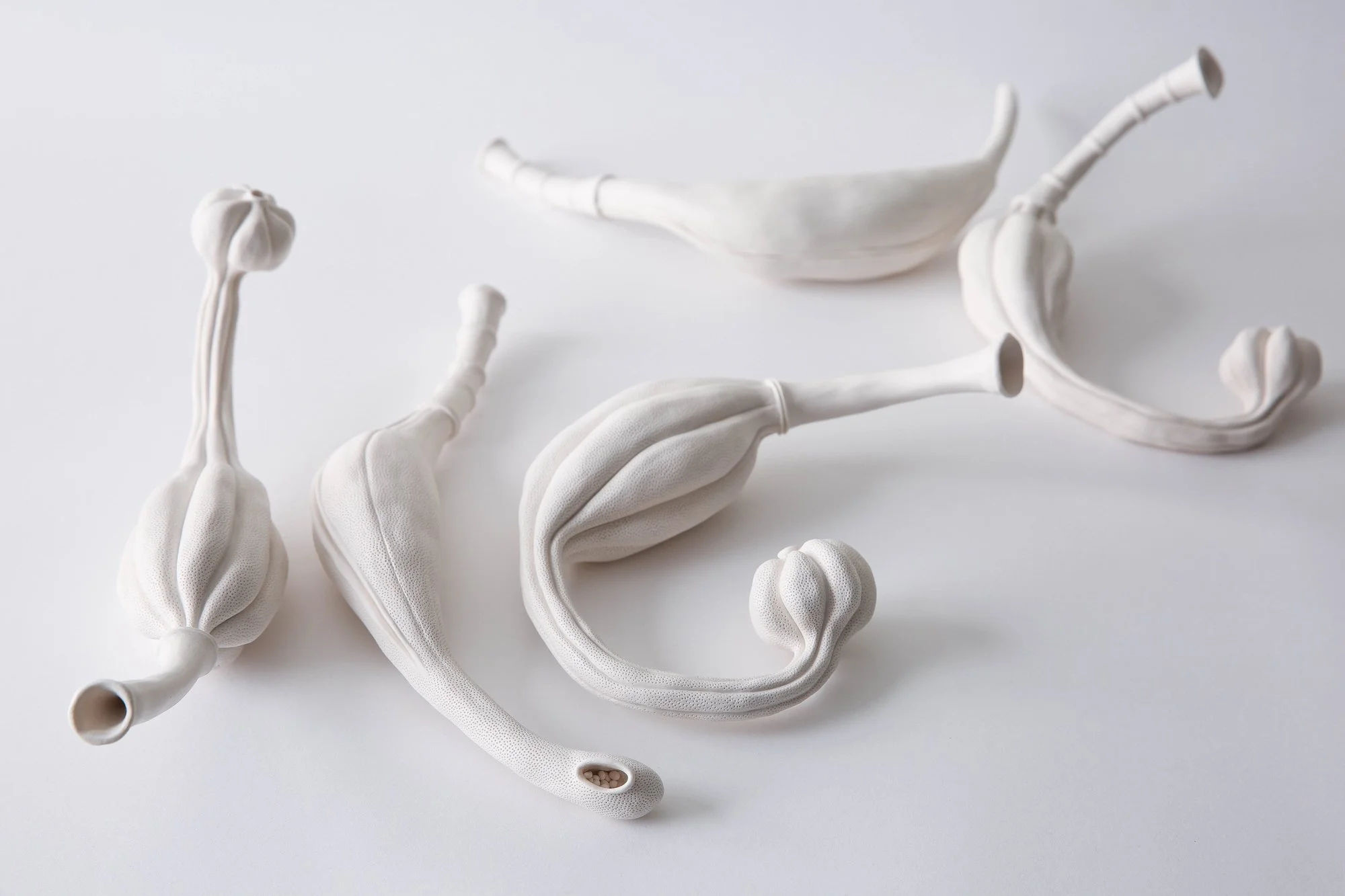 Exhibitions — Sarah Rayner