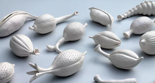 Exhibitions — Sarah Rayner