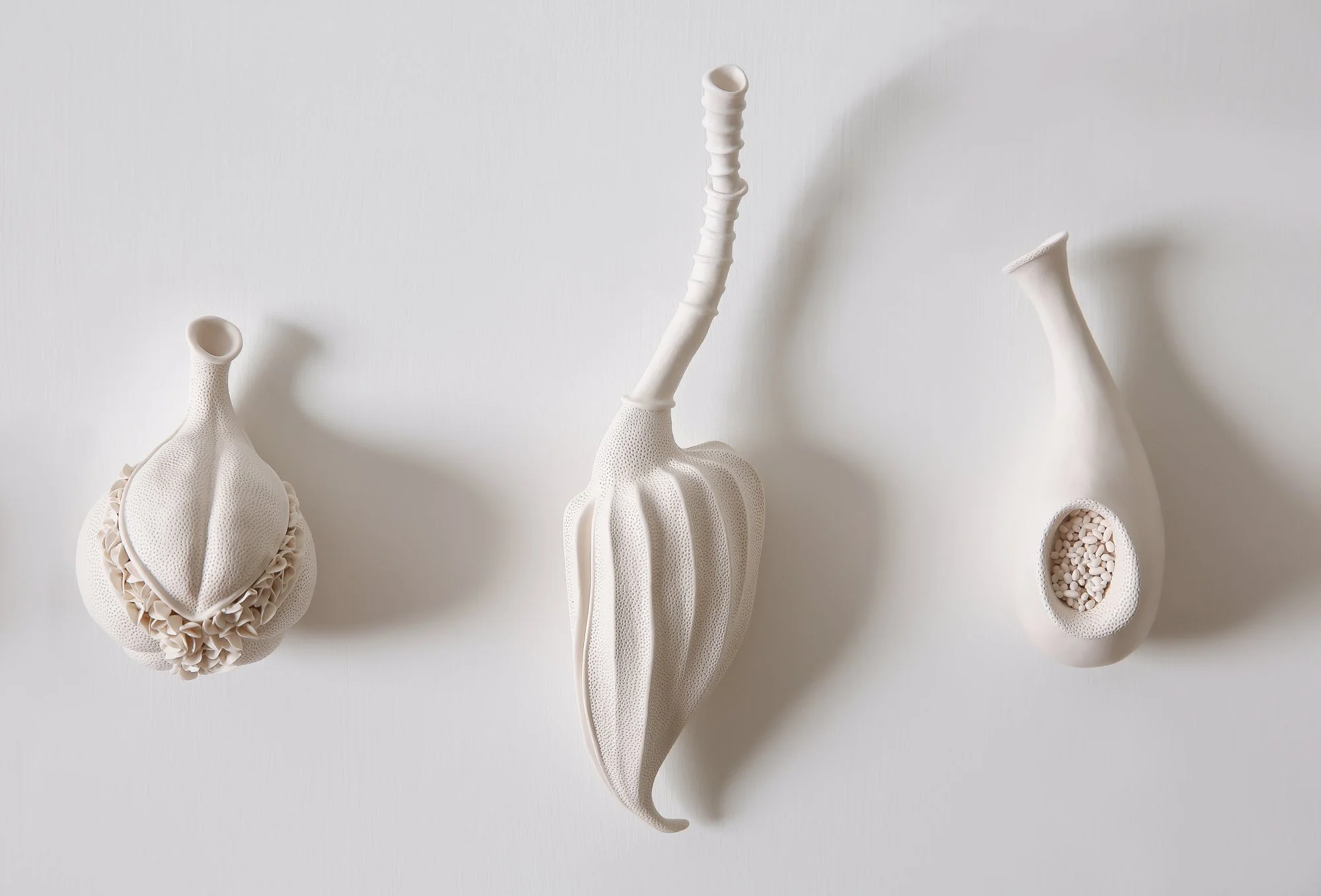 Exhibitions — Sarah Rayner