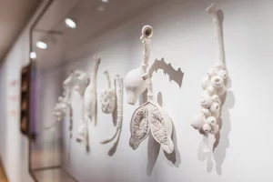 Exhibitions — Sarah Rayner