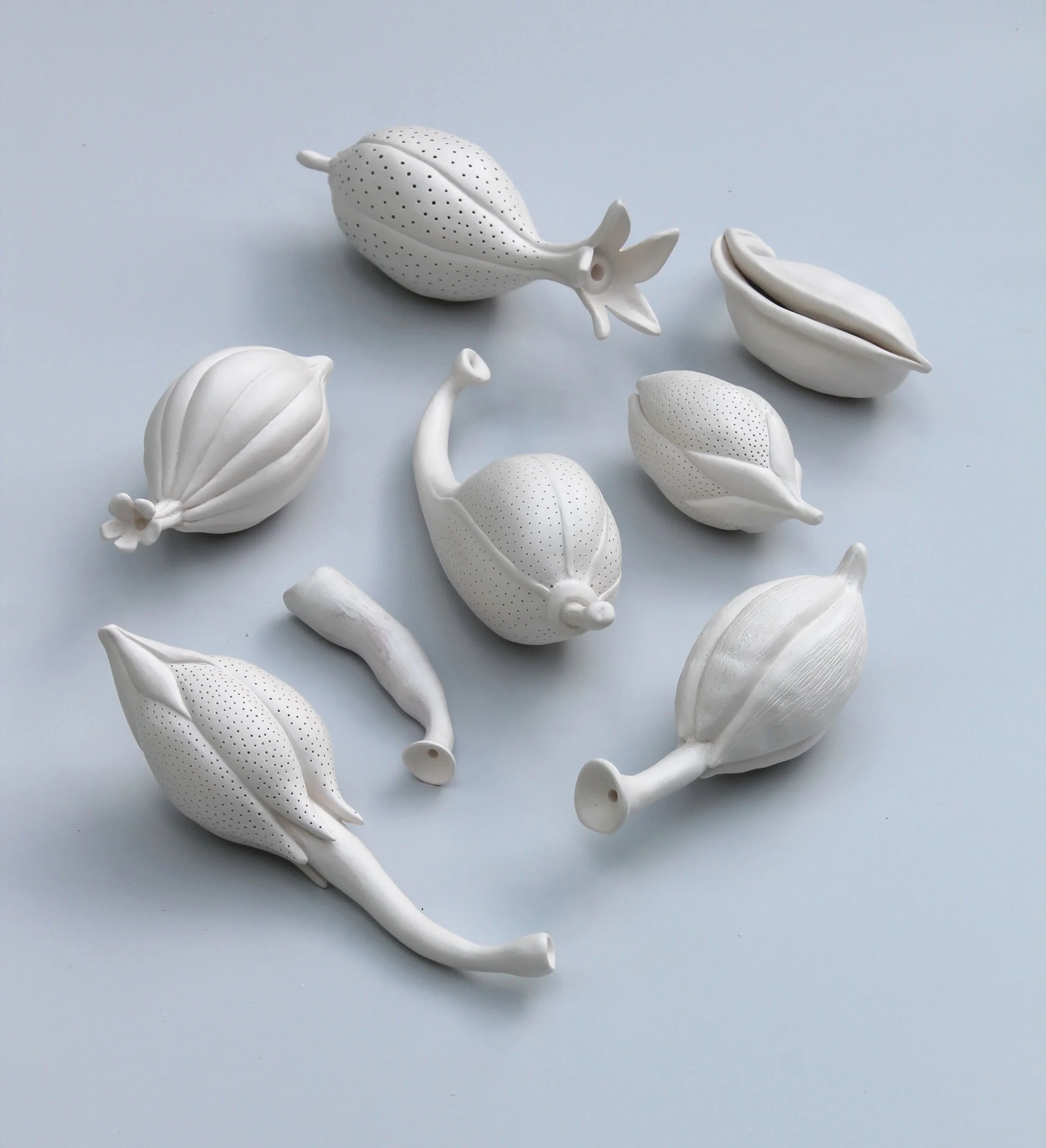 Chain Reaction 2015 — Sarah Rayner