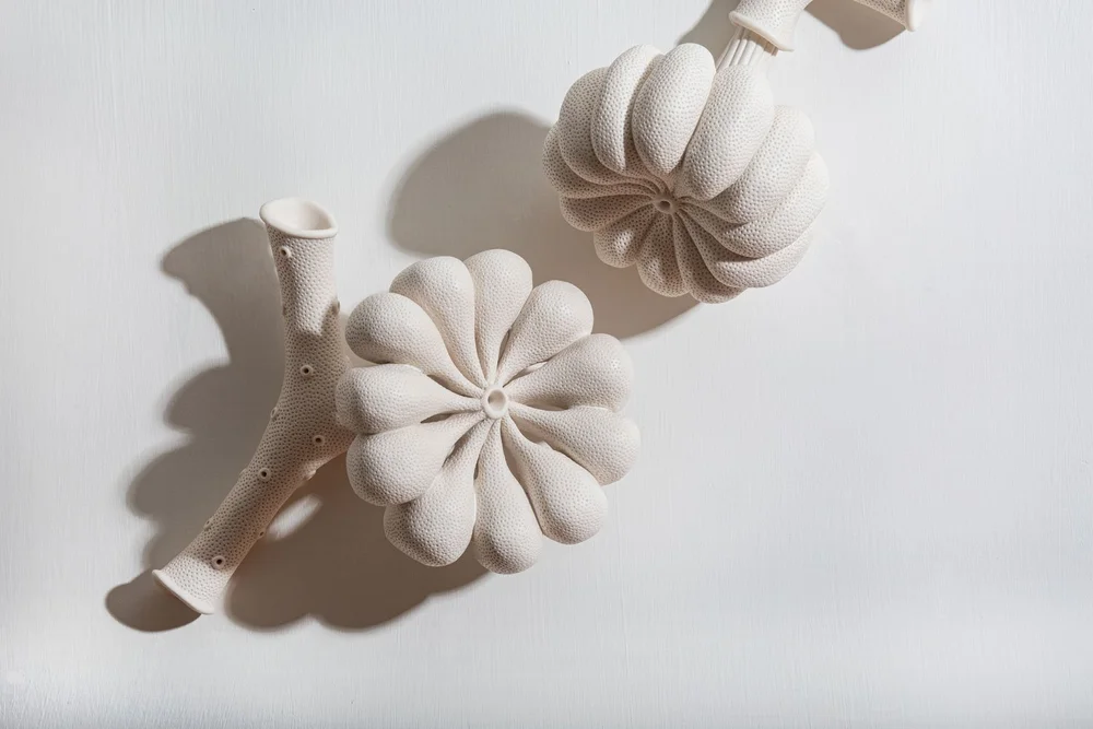 Exhibitions — Sarah Rayner