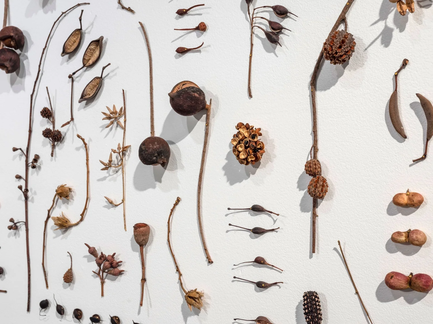 Collected Landscapes 2019 — Sarah Rayner
