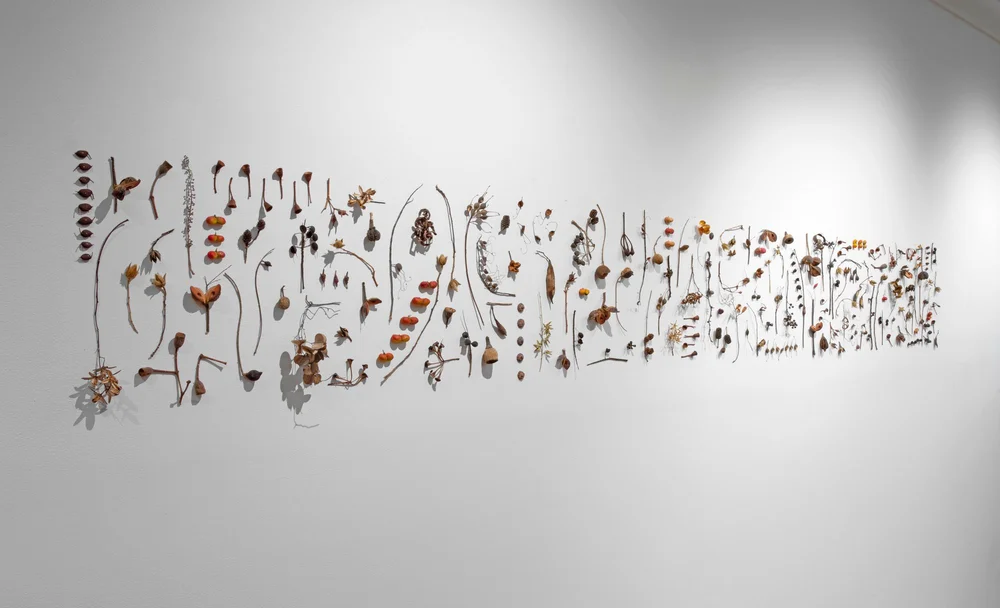 Flowerbones 2018 — Sarah Rayner