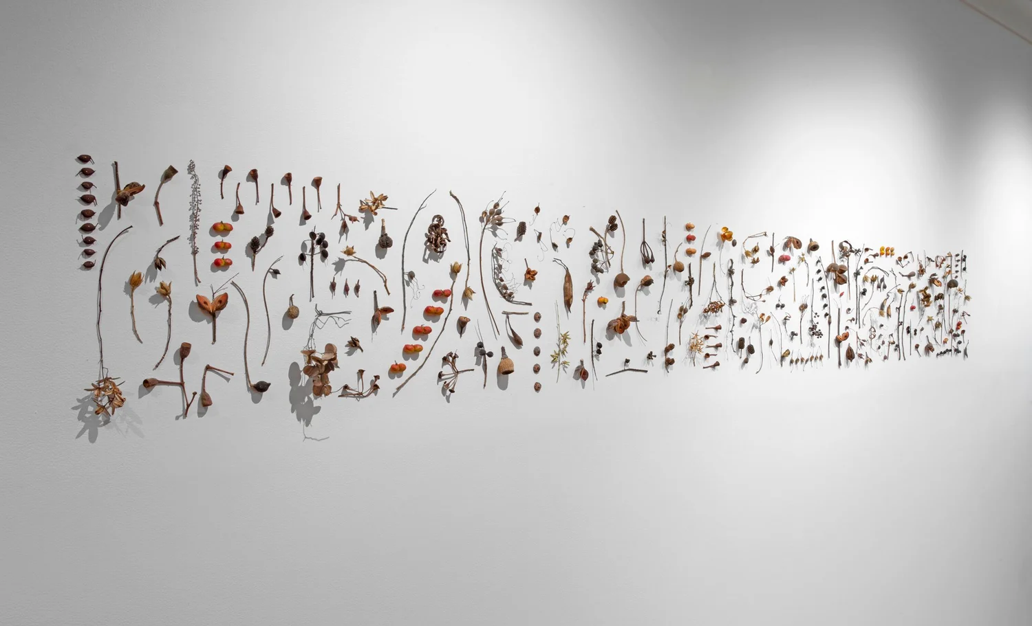 Flowerbones 2018 — Sarah Rayner