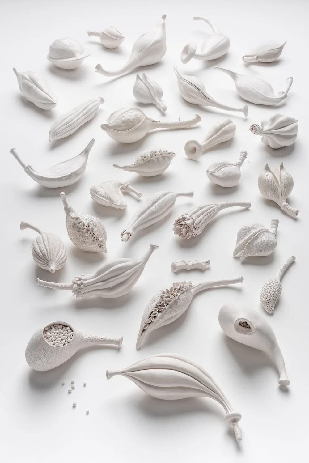Flowerbones 2018 — Sarah Rayner