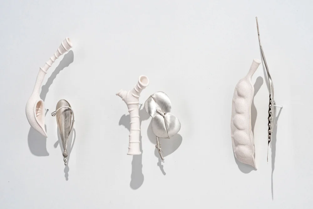 Exhibitions — Sarah Rayner