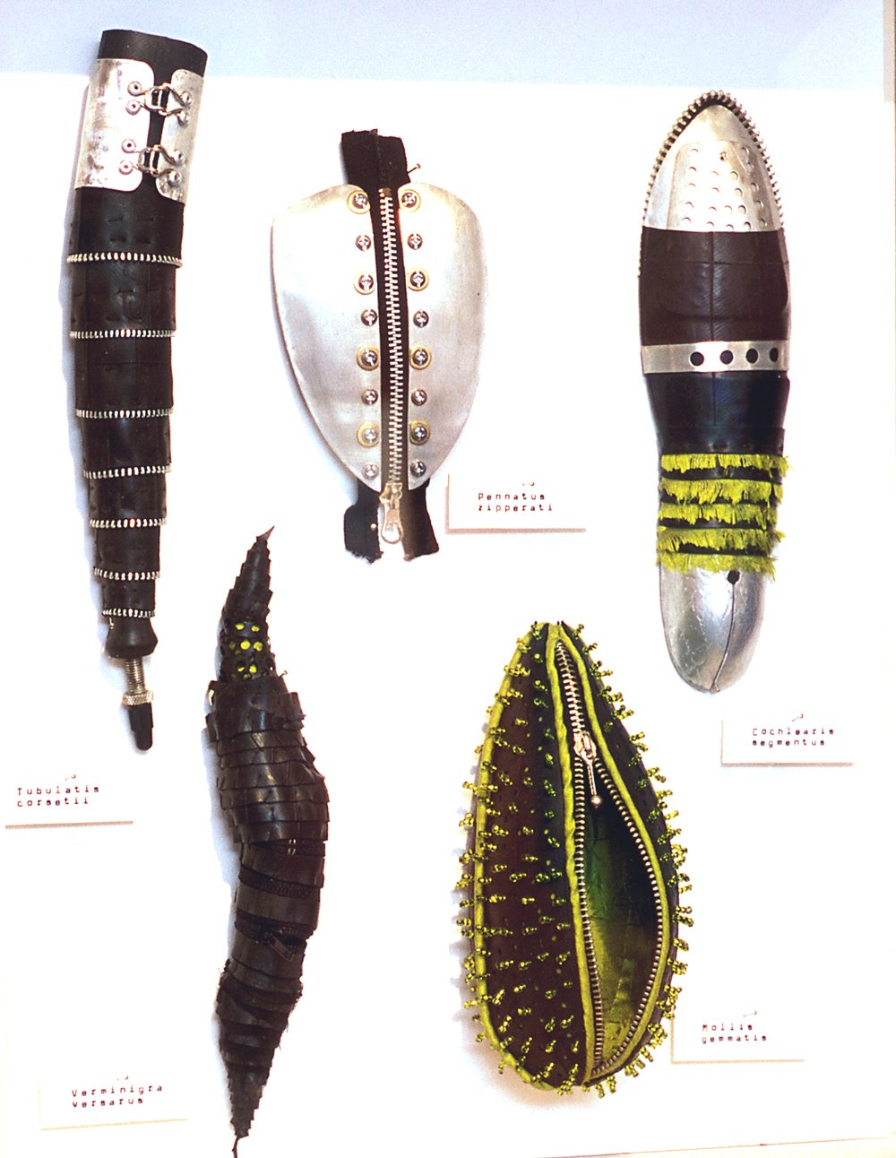 Involvo Evolvo 2001 — Sarah Rayner