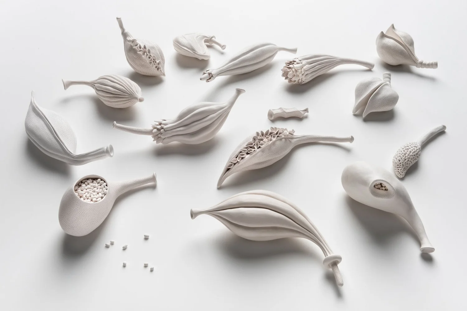Flowerbones 2018 — Sarah Rayner