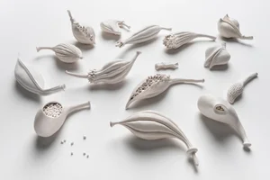 Flowerbones 2018 — Sarah Rayner