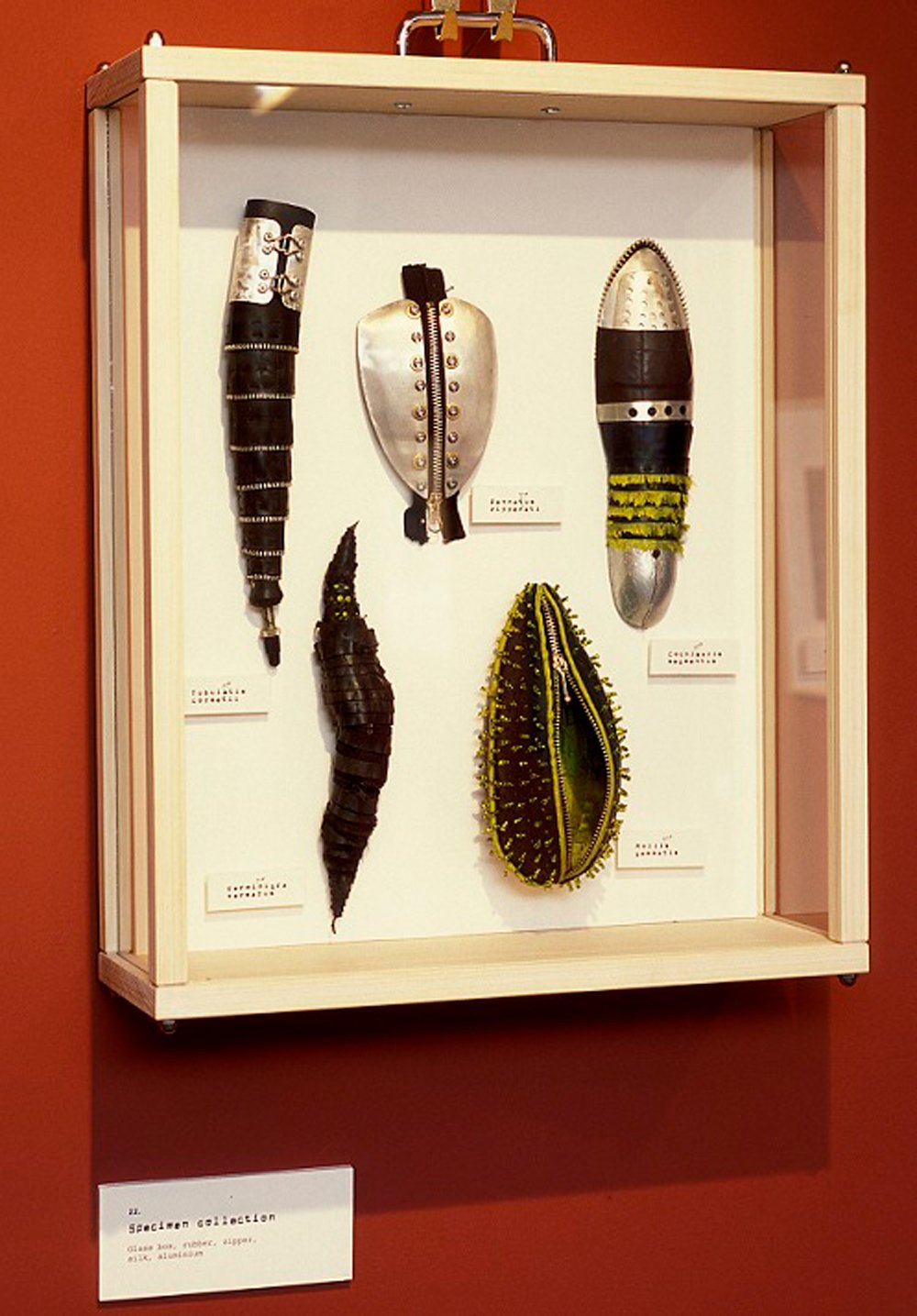 Involvo Evolvo 2001 — Sarah Rayner