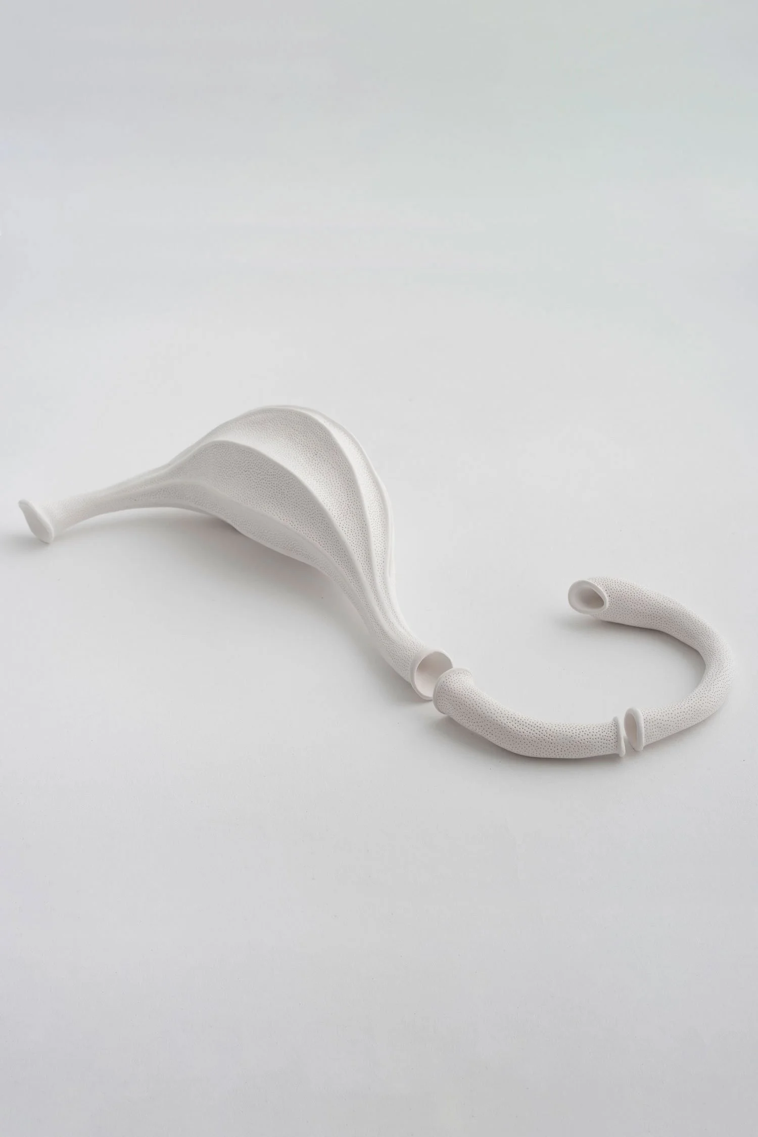 Flowerbones 2018 — Sarah Rayner