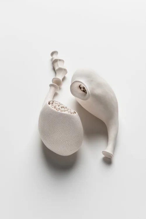 Flowerbones 2018 — Sarah Rayner