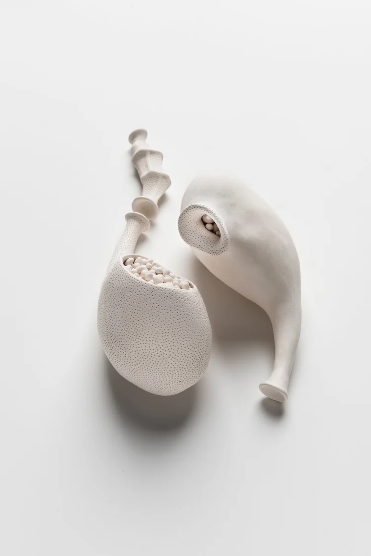 Flowerbones 2018 — Sarah Rayner