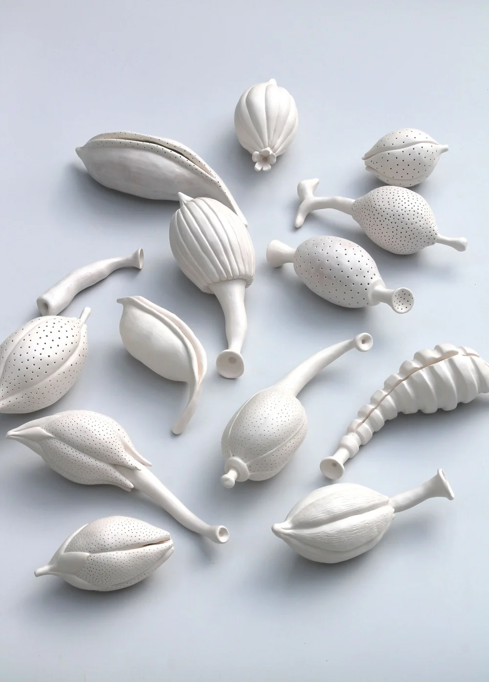 Chain Reaction 2015 — Sarah Rayner