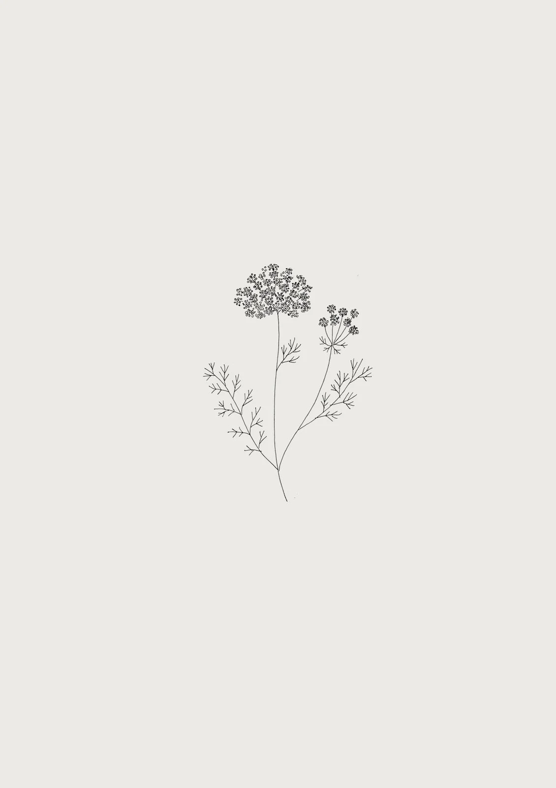 Illustration | Explore Creative Art — Ryn Frank