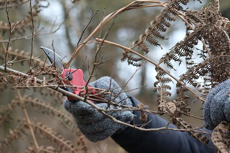 Lulu Harrison | Glass Artist and Materials Researcher