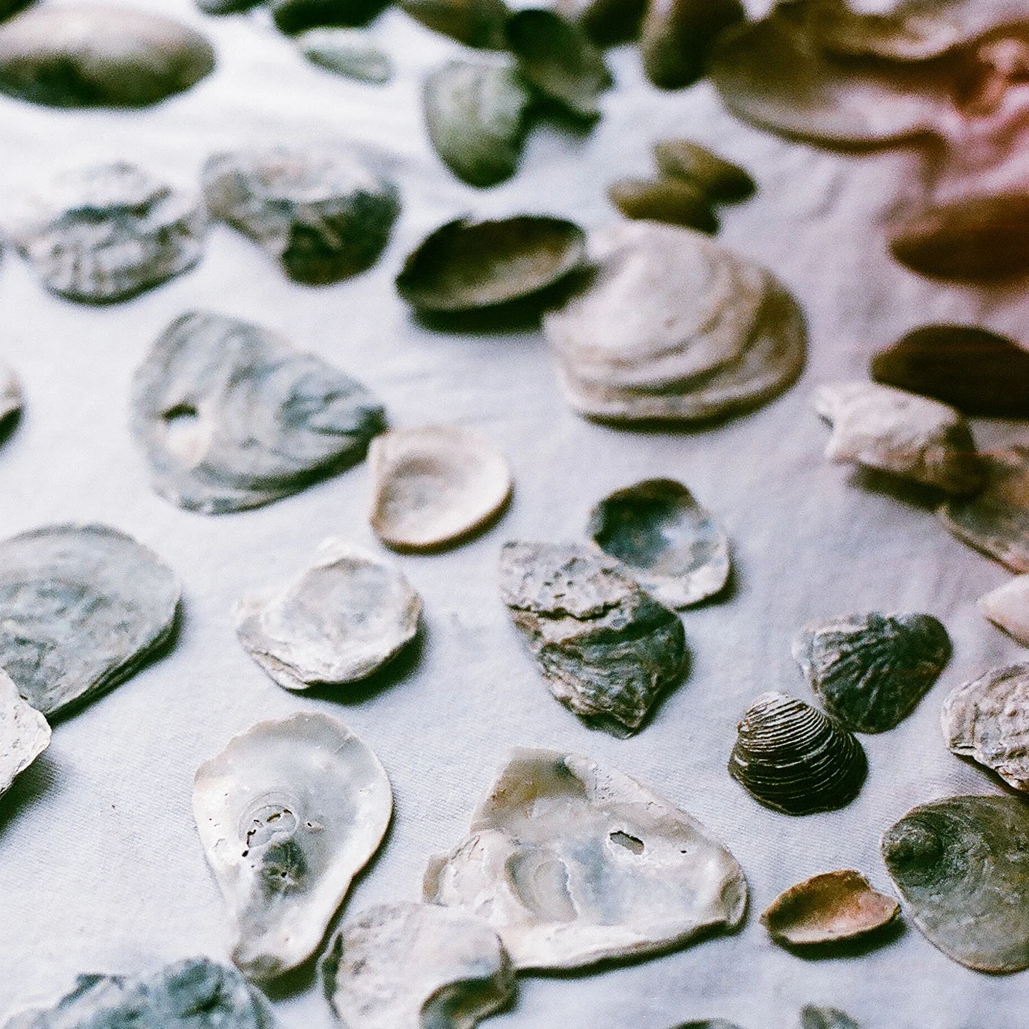 Contact l Lulu Harrison