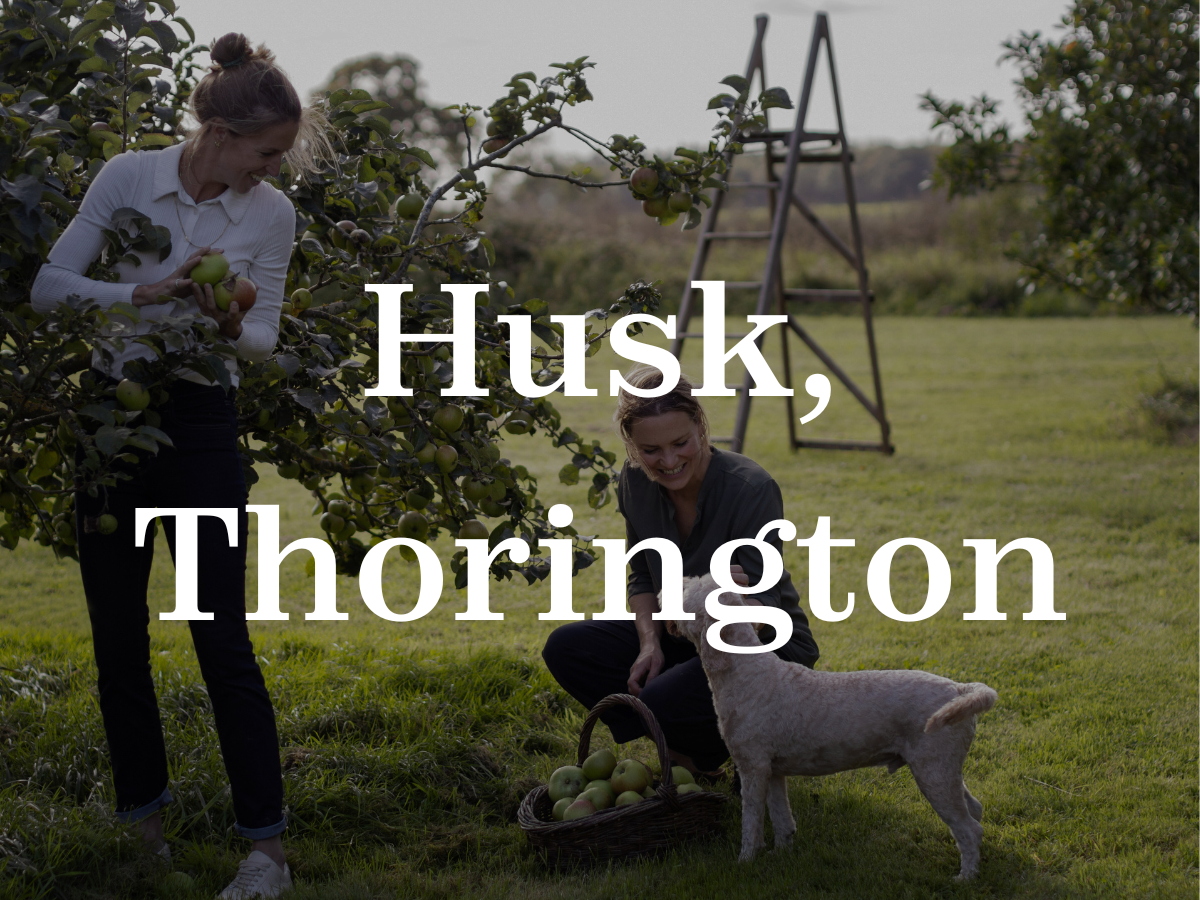 In Conversation — Sulis Studio