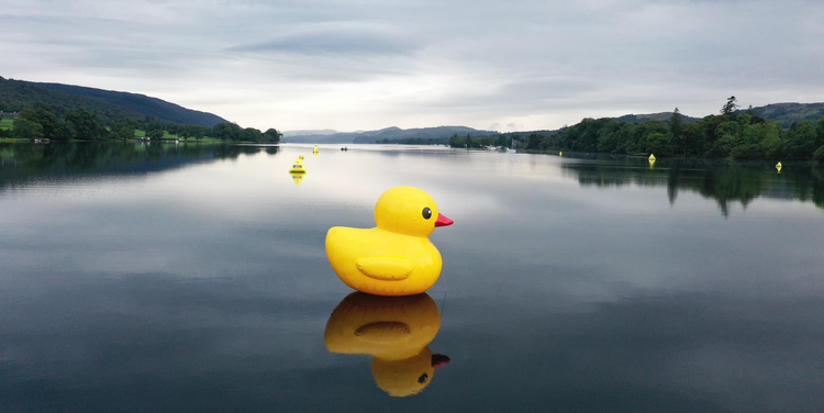Chillswim 2026 — Level Water: The Power of Swimming
