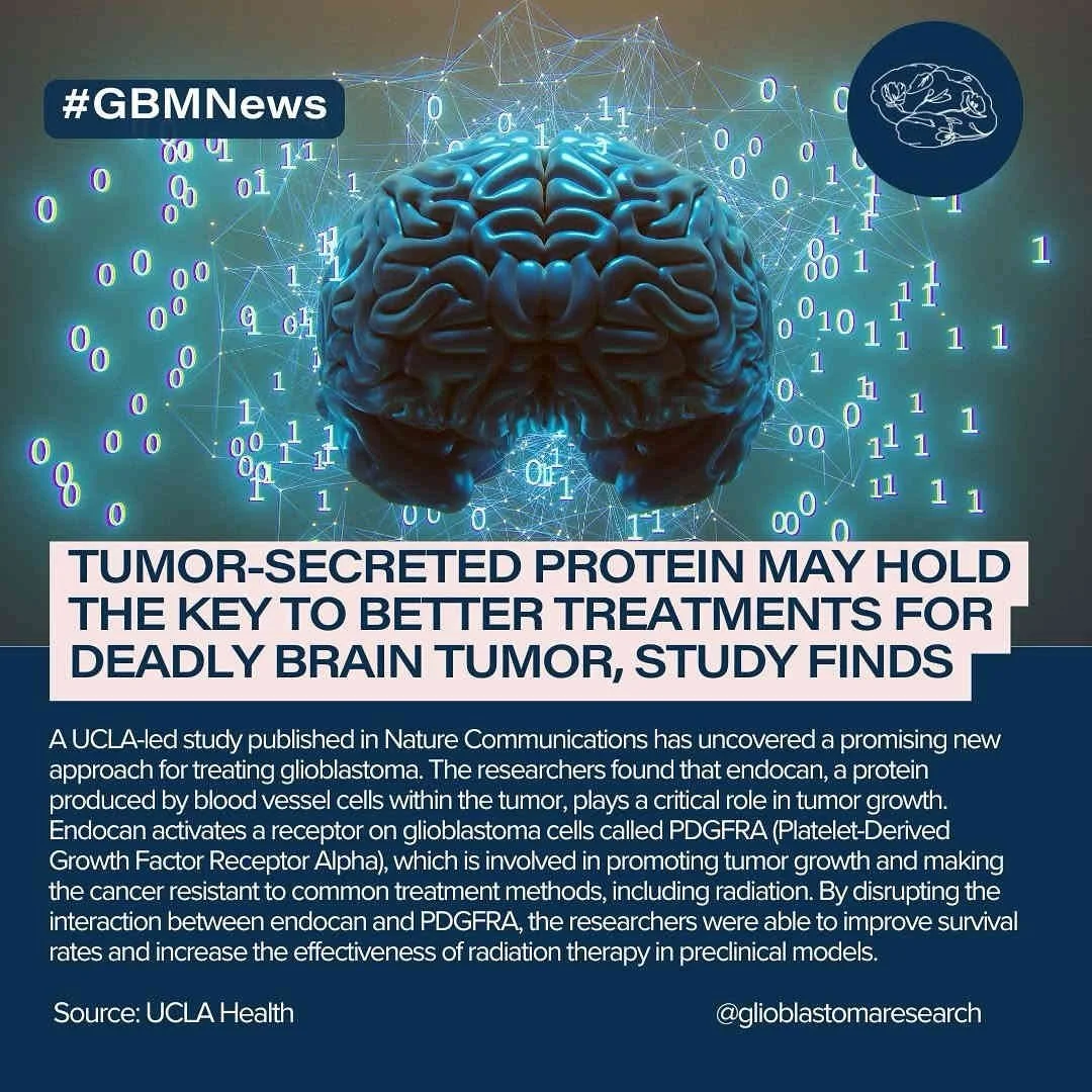 Glioblastoma News — Glioblastoma Research Organization