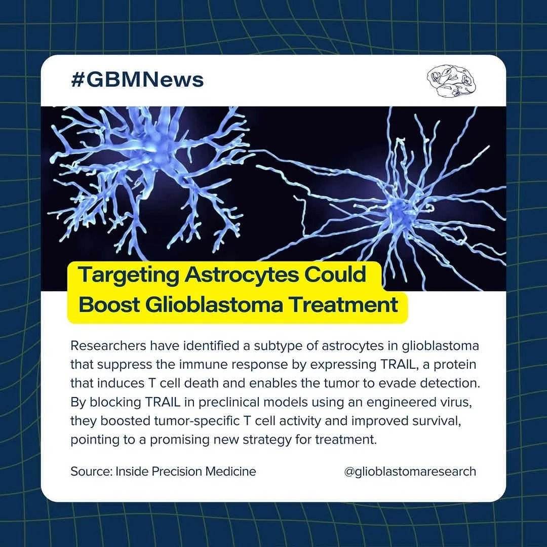 Glioblastoma News — Glioblastoma Research Organization