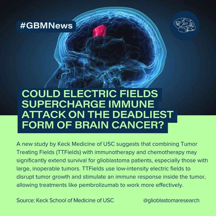 Glioblastoma News — Glioblastoma Research Organization
