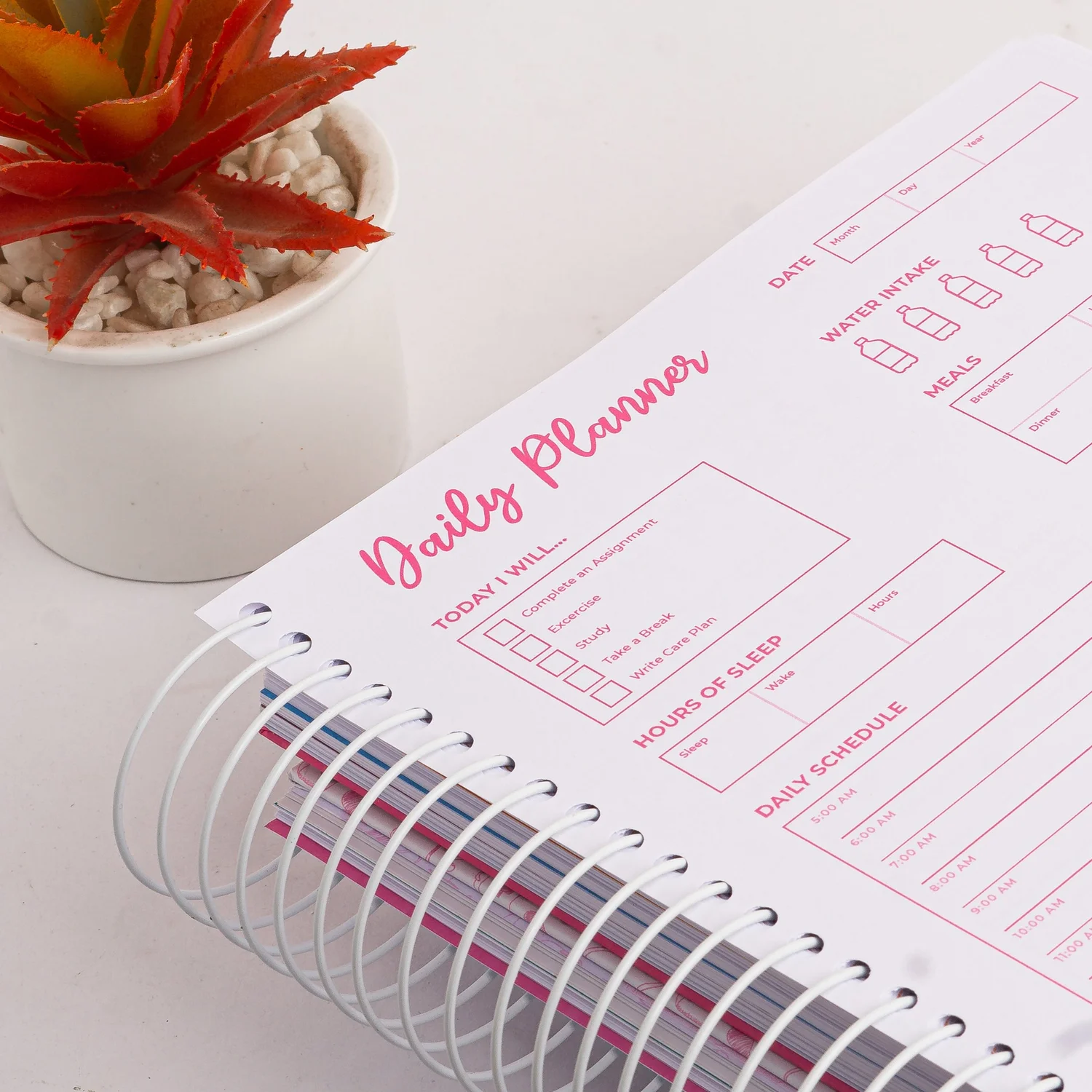 Nursing Student Success Bundle: Ultimate Study Guide, & freebees Excel ...