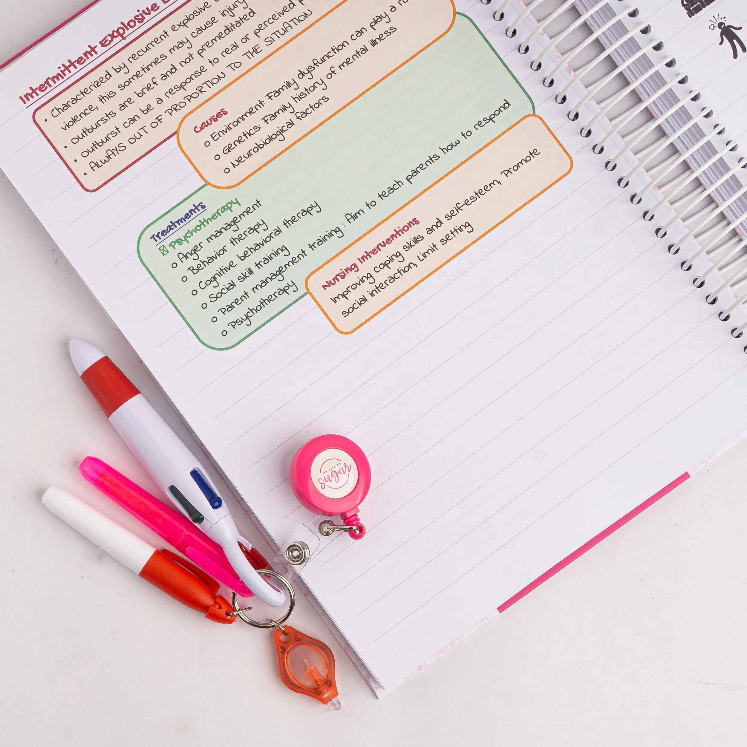 Nursing Student Success Bundle: Ultimate Study Guide, & freebees Excel ...