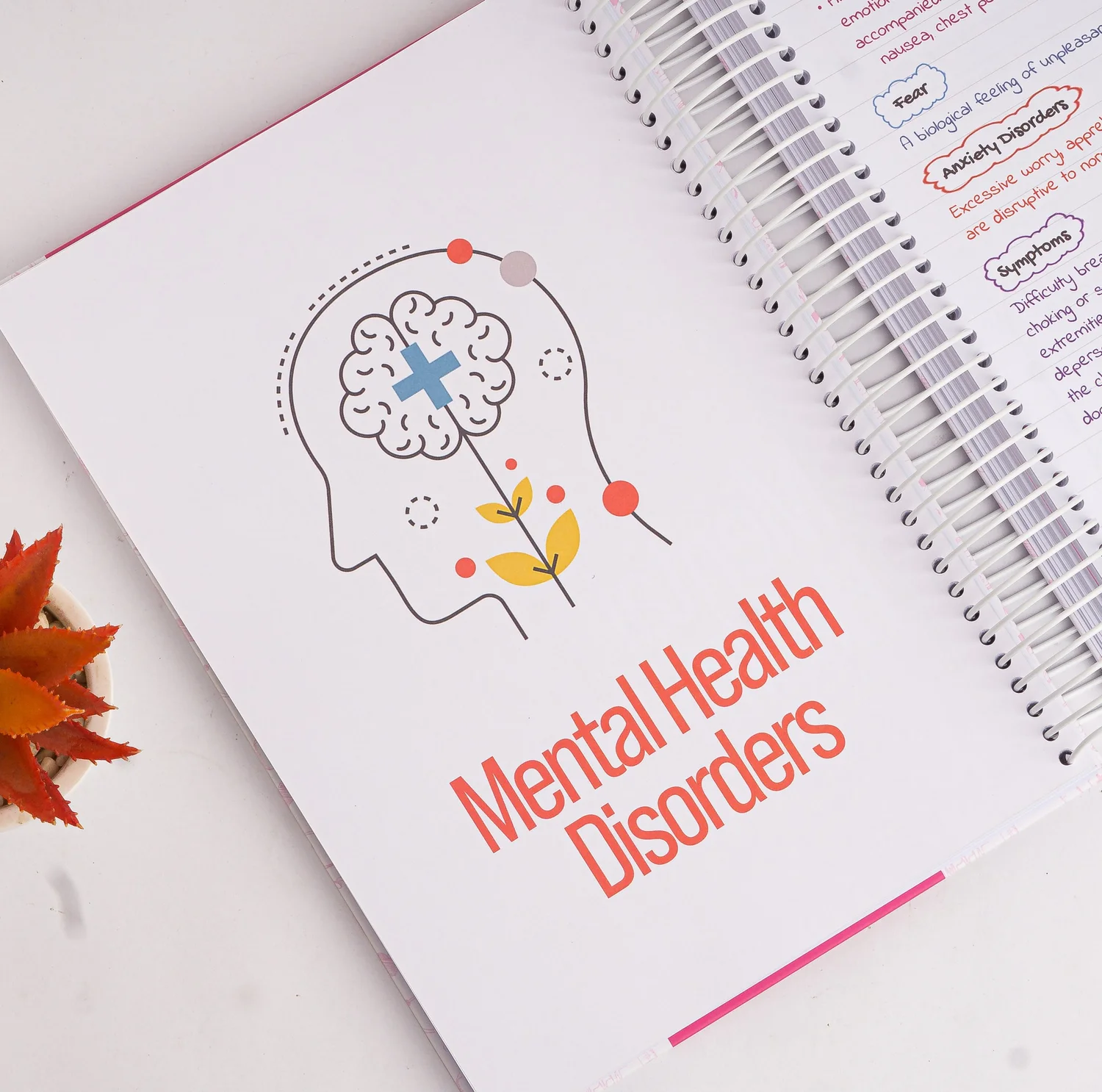 Nursing Student Success Bundle: Ultimate Study Guide, & freebees Excel ...