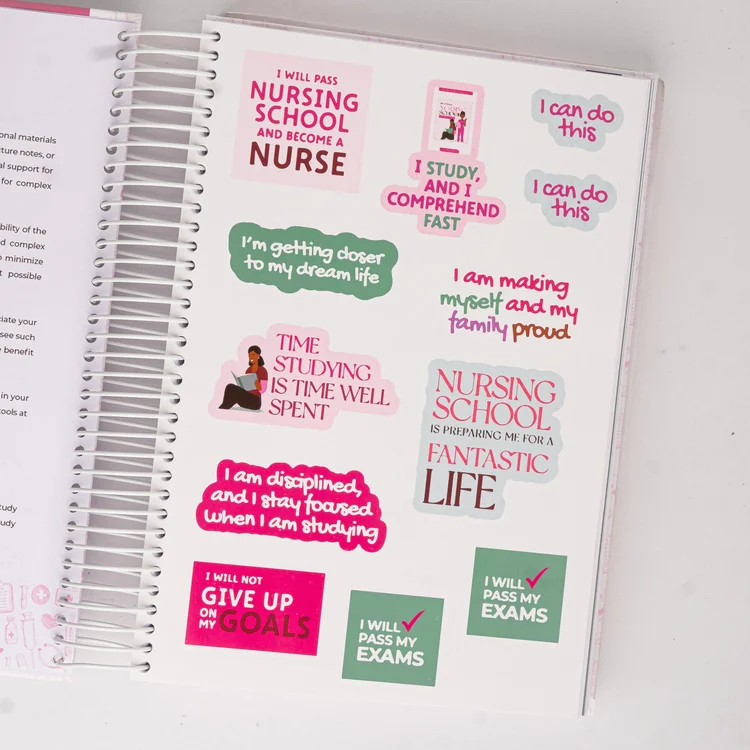 Nursing Student Success Bundle: Ultimate Study Guide, & freebees Excel ...