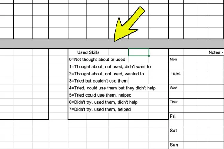 How to complete a DBT therapy diary card — PRGRS Therapy