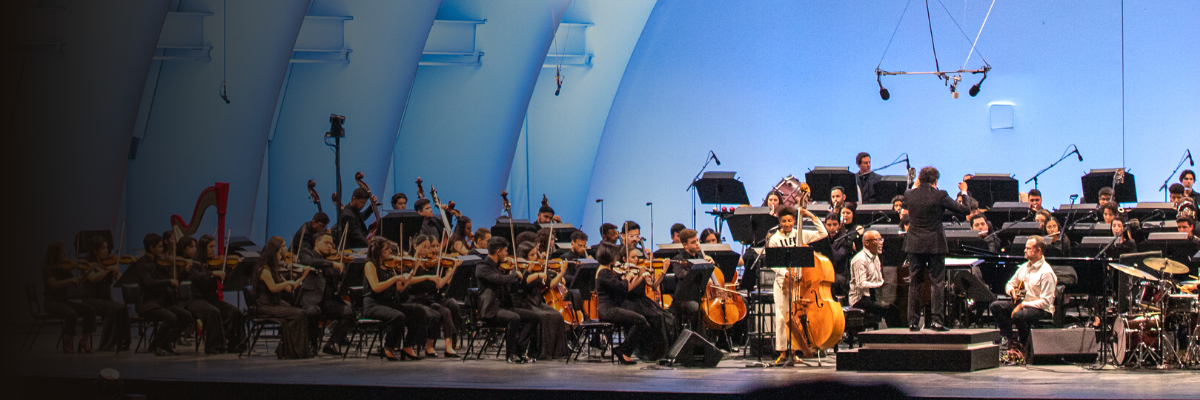 Mission — Dudamel Foundation