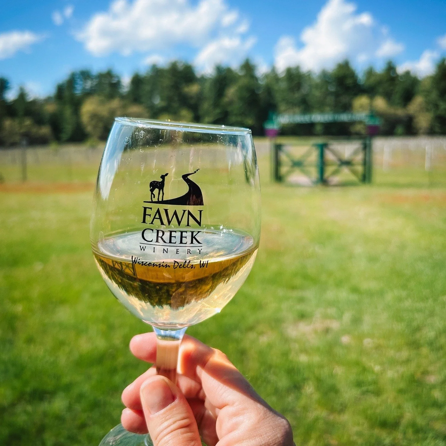 Bird Adaptations & Origami Cranes — Visit Adams County, WI