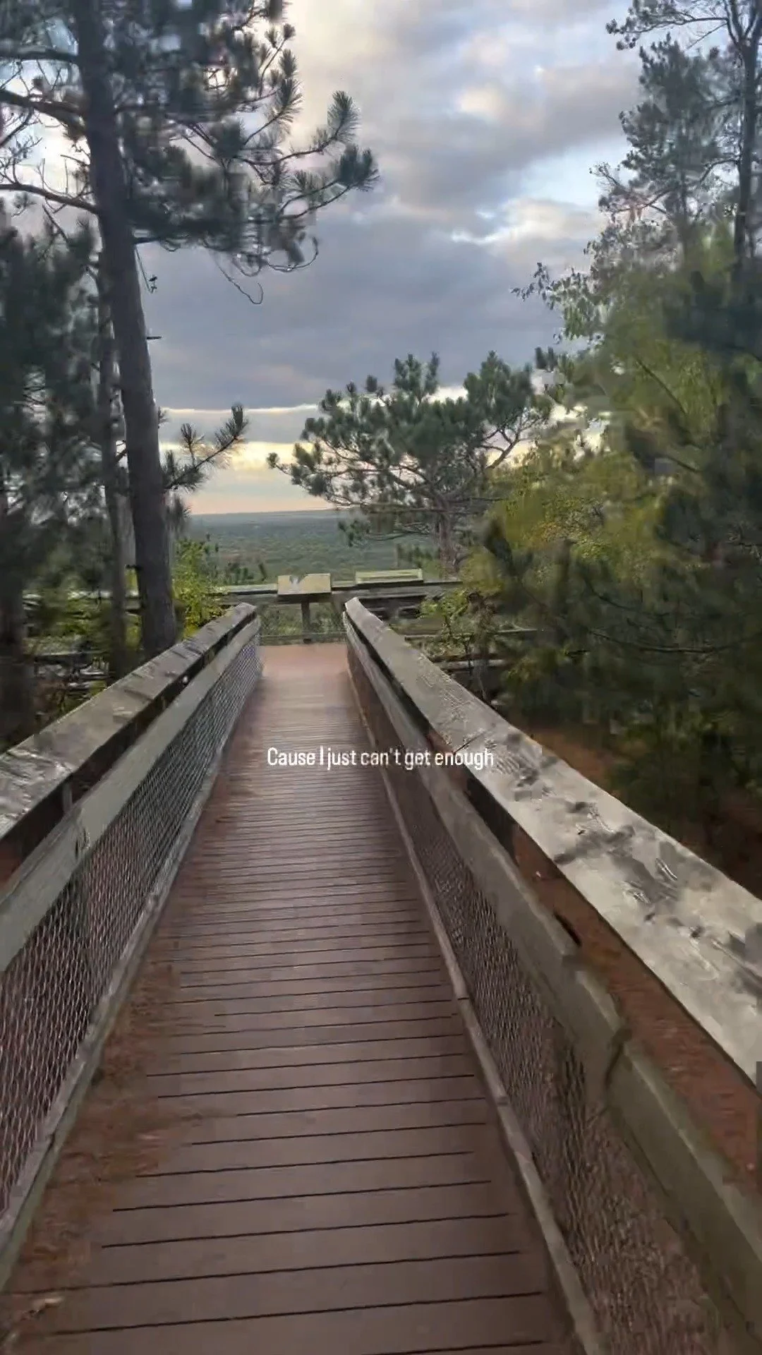 Bird Adaptations & Origami Cranes — Visit Adams County, WI