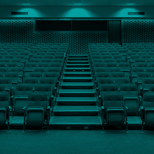 Institutional Ethnography Network