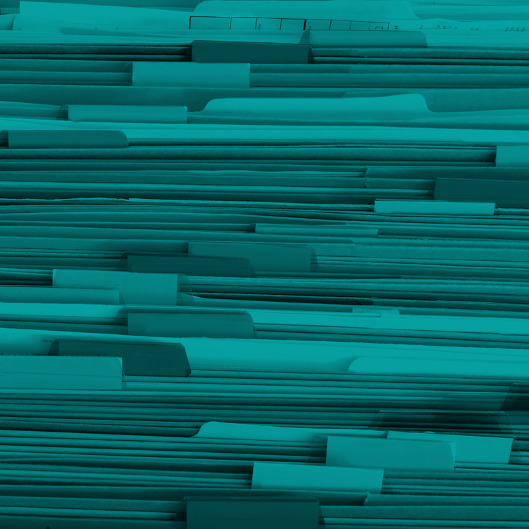 Institutional Ethnography Network