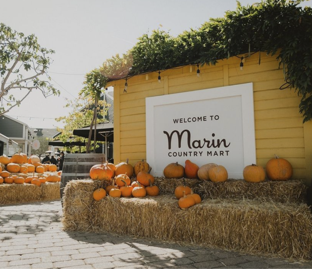 Visit — 142 Throckmorton