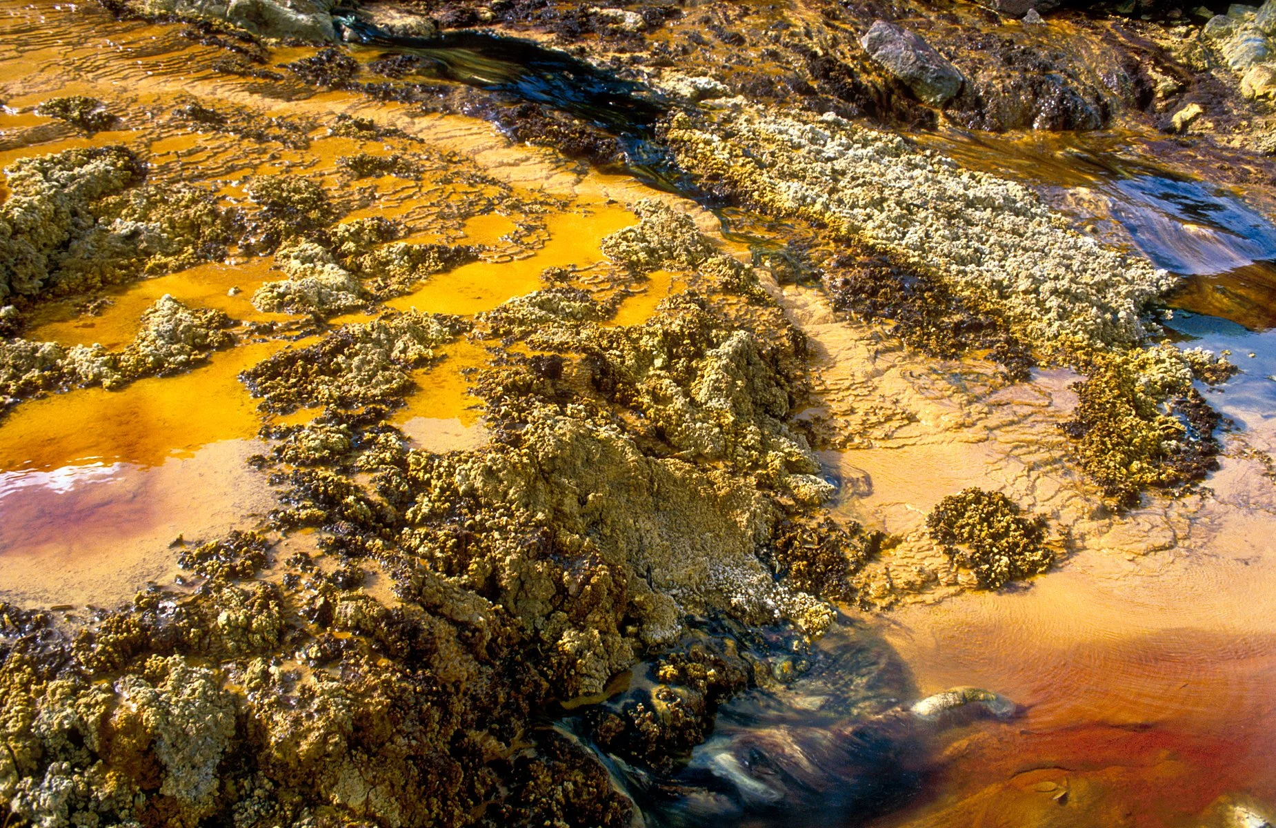 Acid Mine Drainage — Mudgee Region Action Group