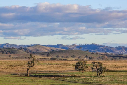 Mudgee Region Action Group