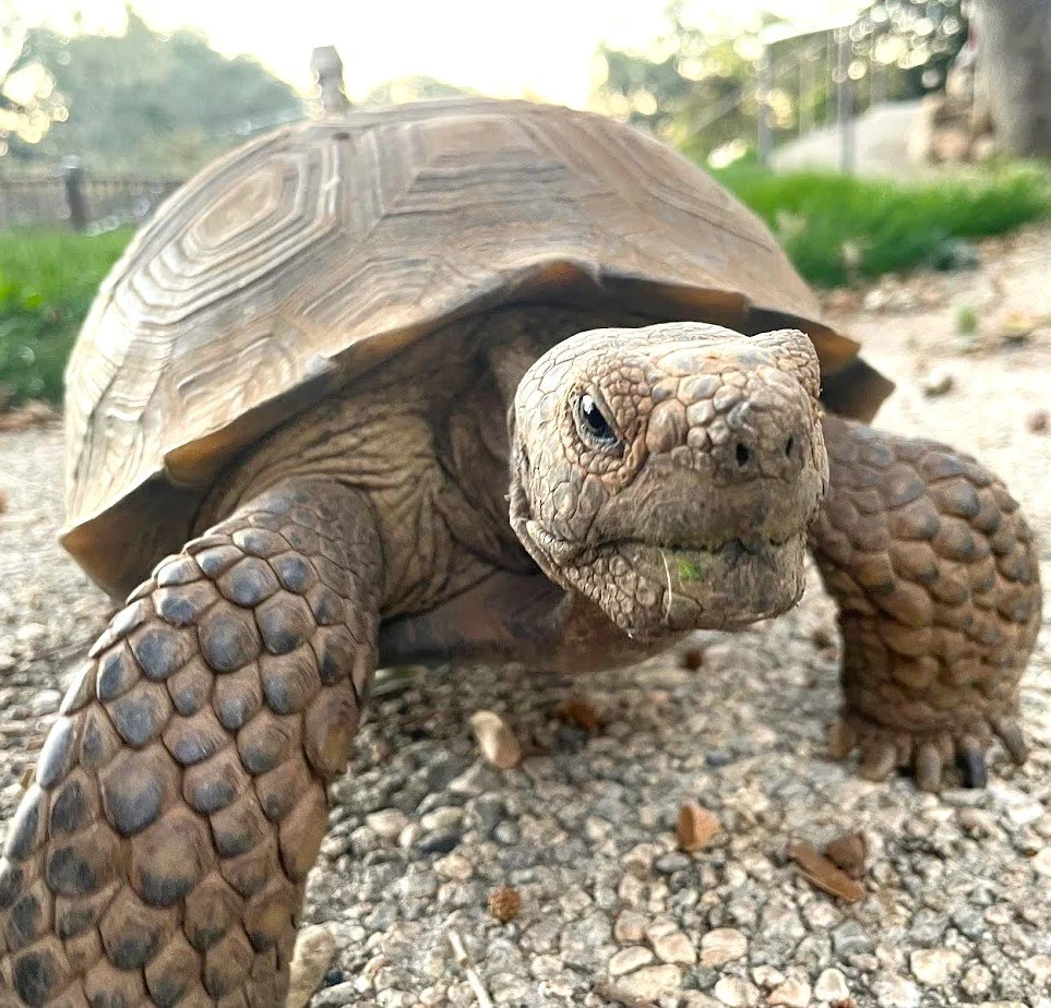 anger — everyday magic