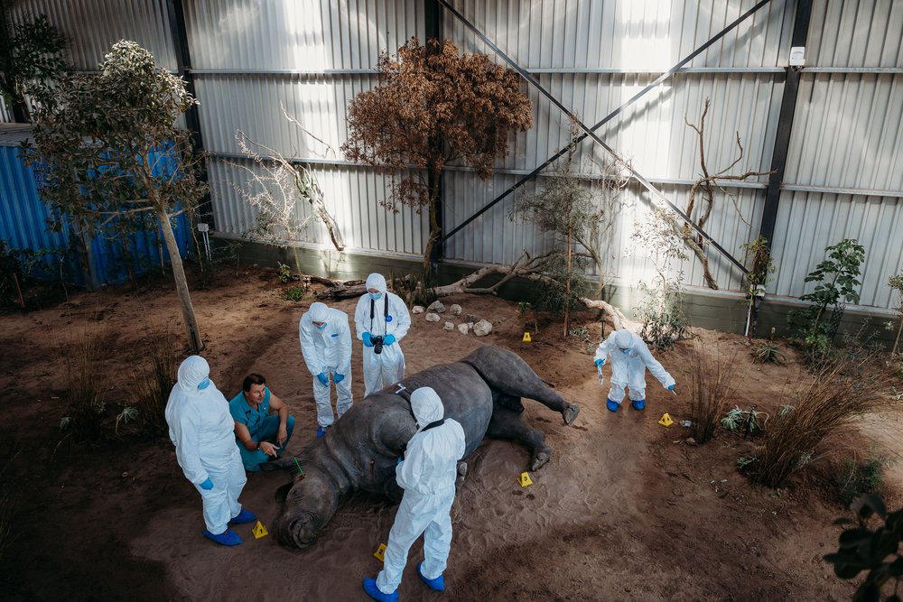 Study Abroad - Wildlife Forensic, Crime Scene Management and ...