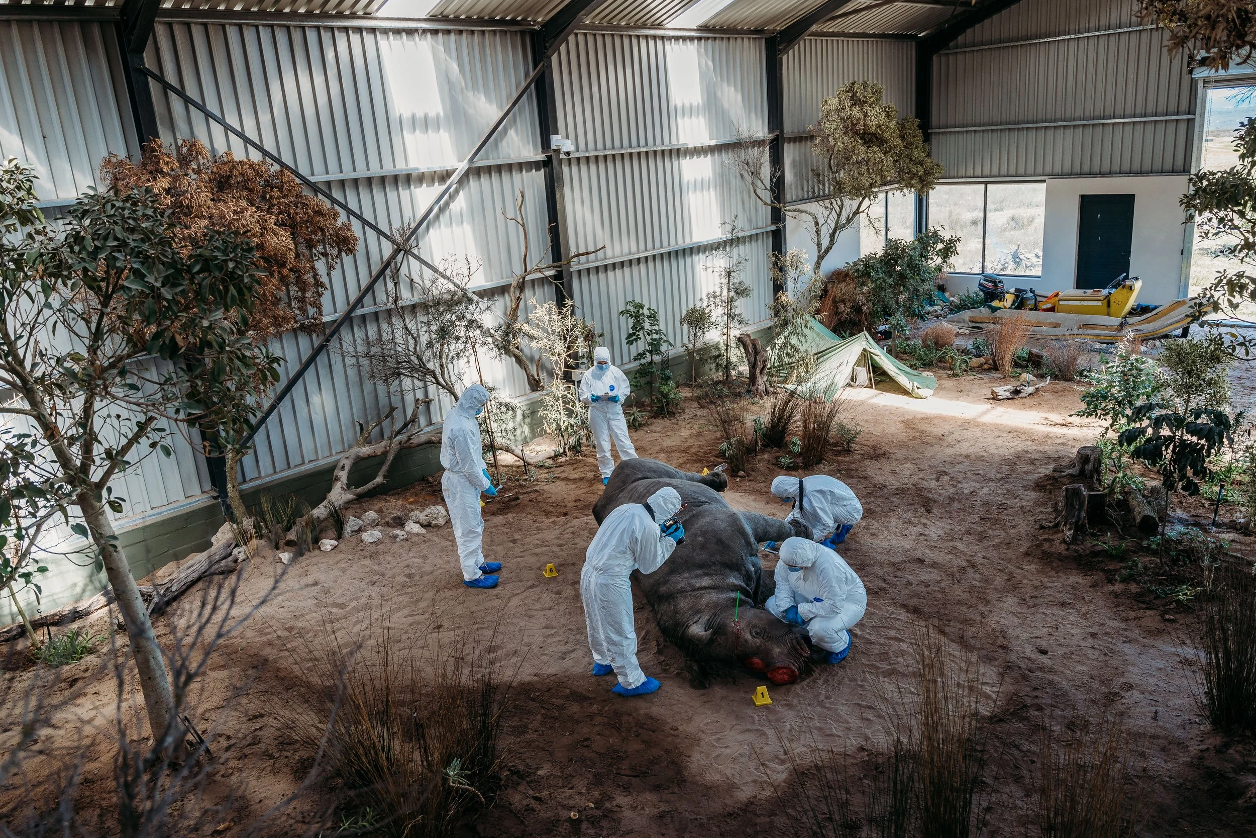 Wildlife Forensic Academy | Learn Wildlife Crime Forensics Today