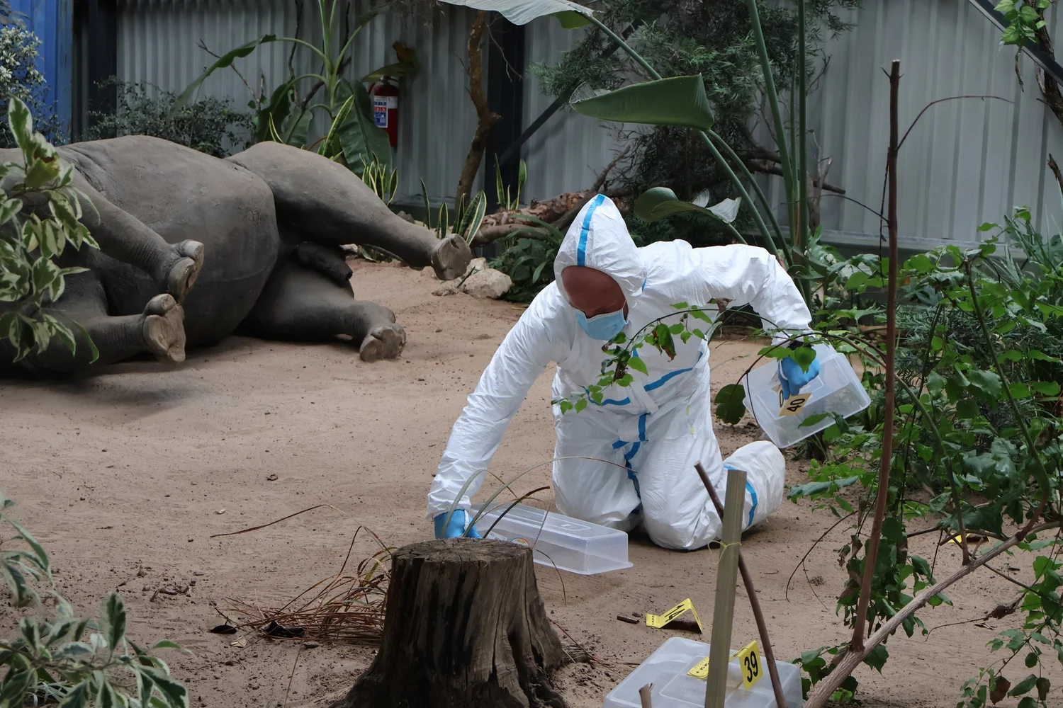 Training the Frontline of Wildlife Crime Investigation — Wildlife ...