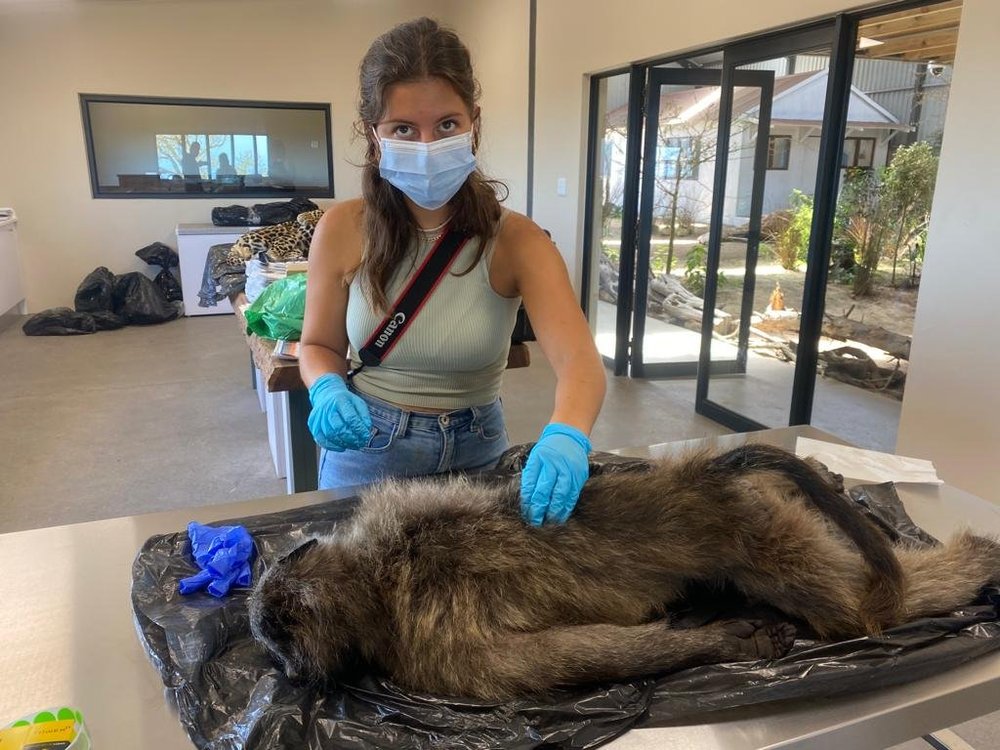 Internships through Wildlife Forensic Academy — Wildlife Forensic Academy