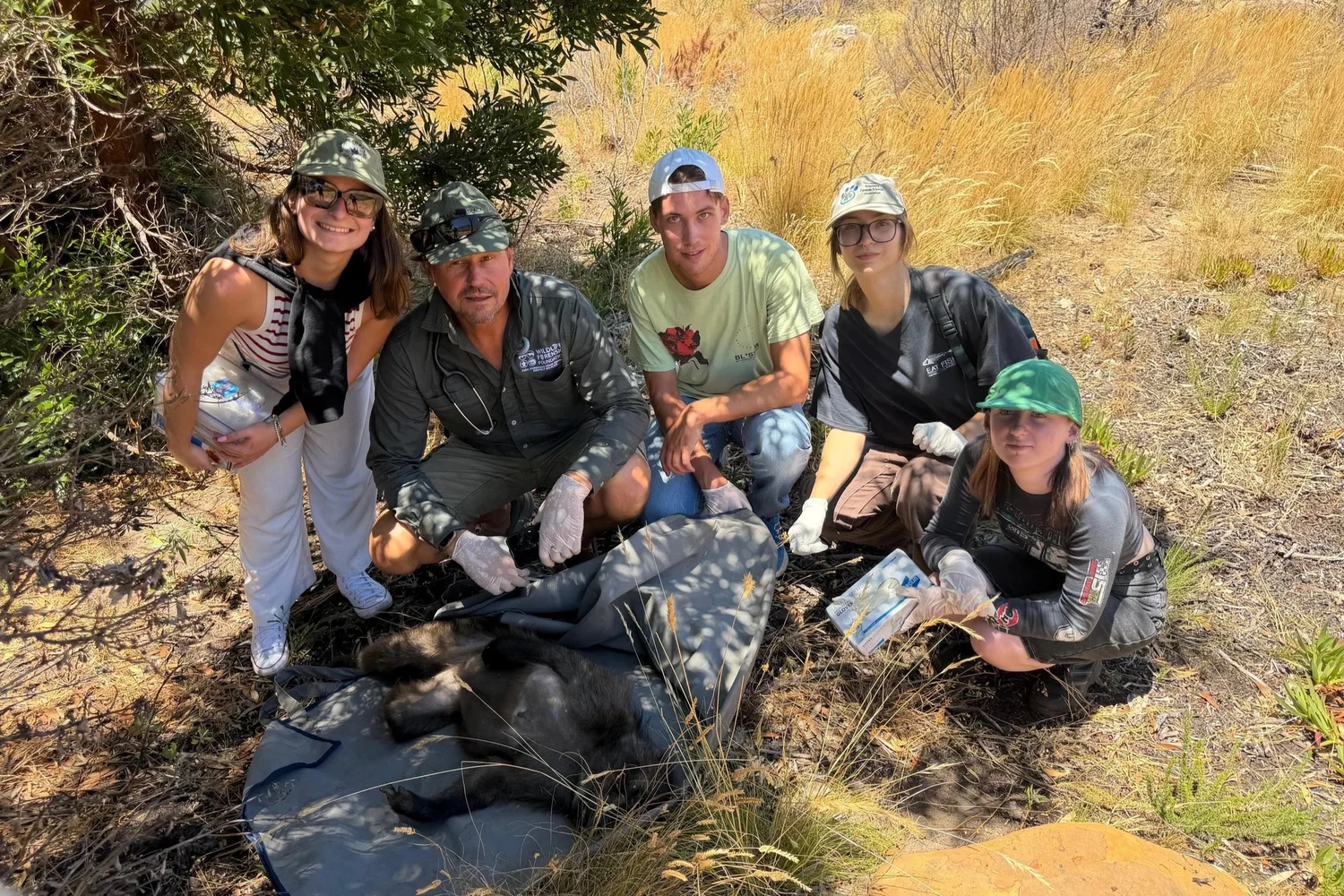 Advanced Wildlife Forensics & Conservation Training — Wildlife Forensic ...