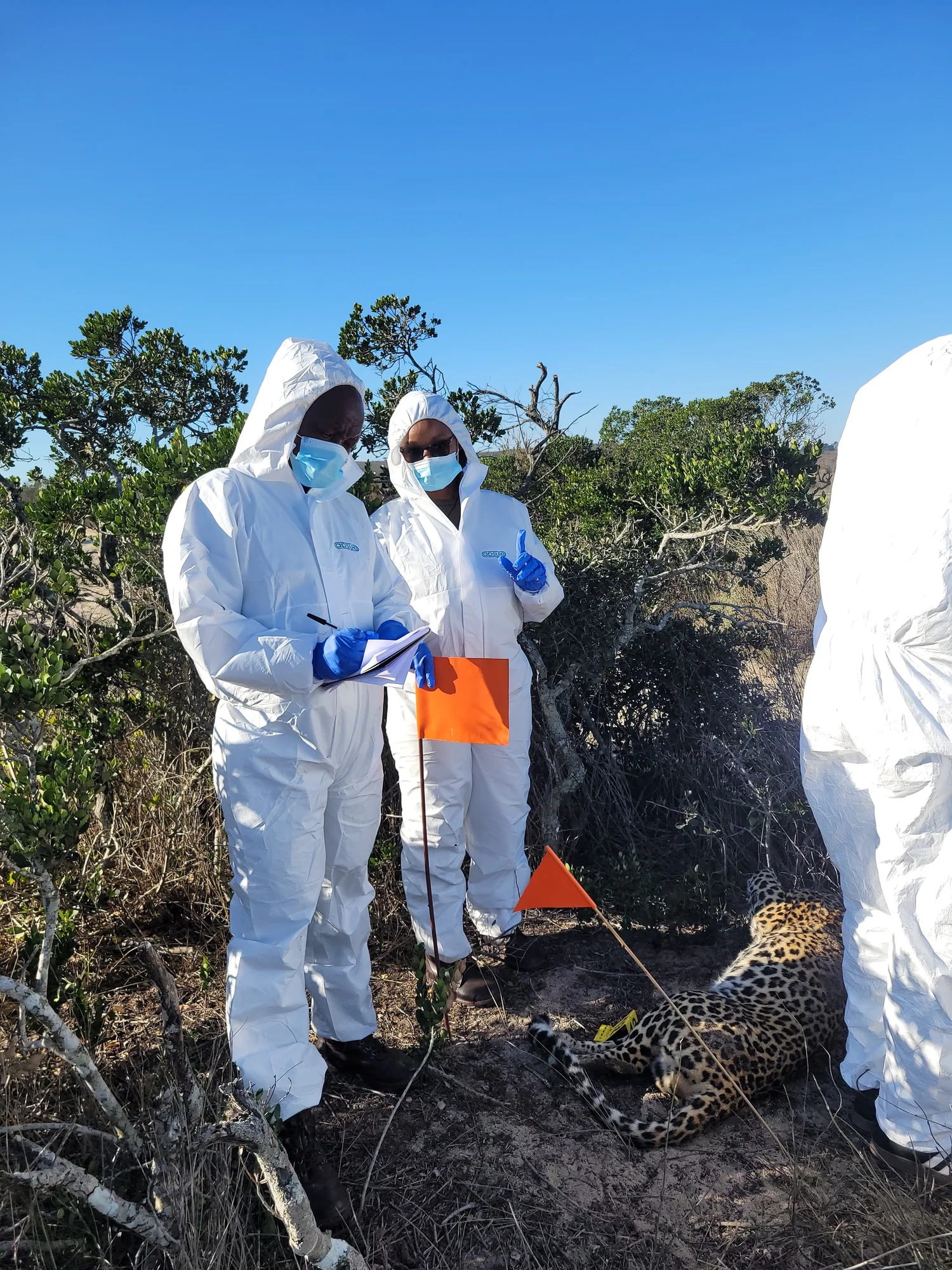 From Crime Scene to Courtroom — Wildlife Forensic Academy