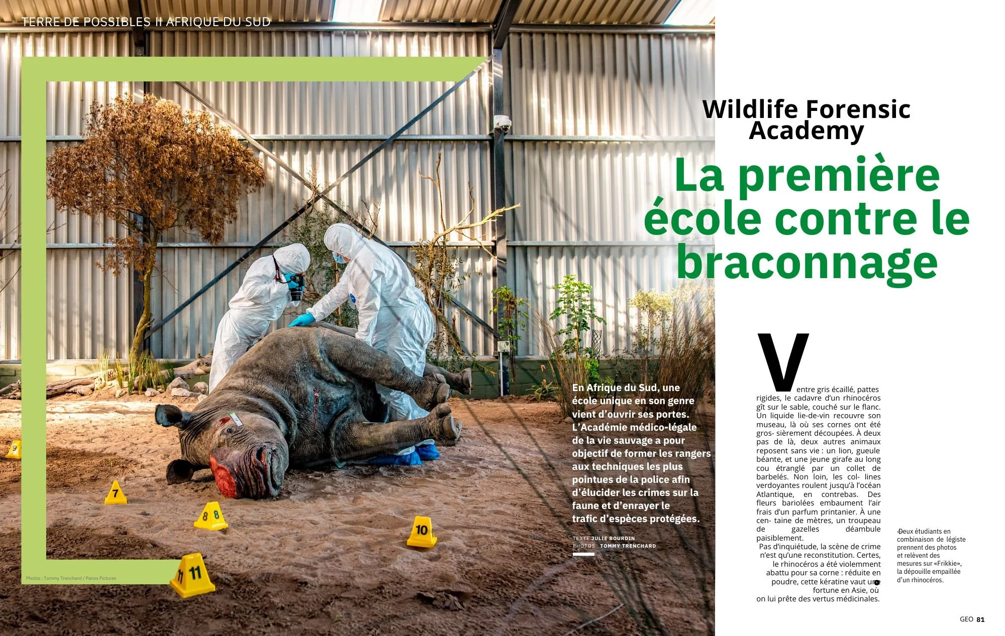 Wildlife Forensics Making Headlines: Latest News & Updates — Wildlife ...